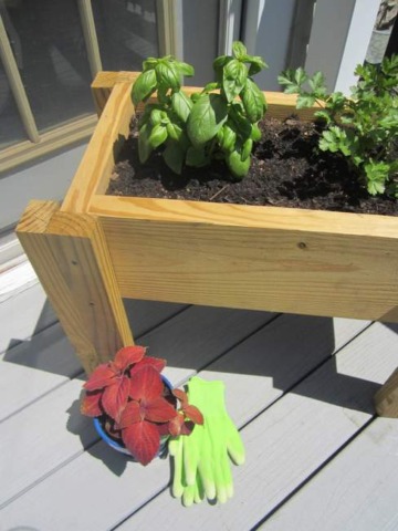 28 Creative DIY Planters and Containers for Your Plants
