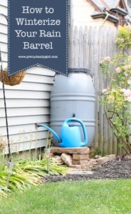 How to Winterize Your Rain Barrel - Pretty Handy Girl