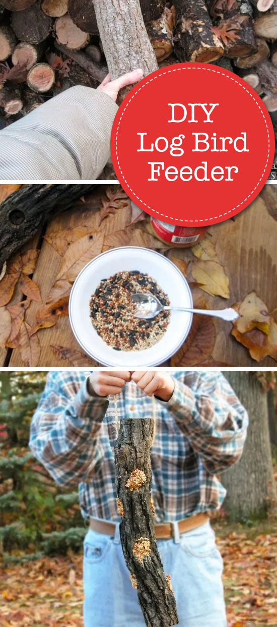 DIY Log Bird Feeder - Pretty Handy Girl