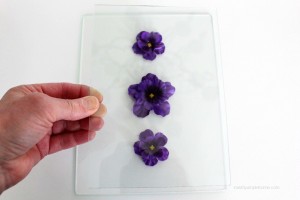 Pressed faux flowers behind glass - Pretty Handy Girl